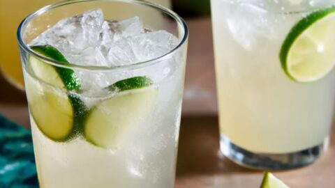 Lime Squash Drink Recipe - Martha Stewart Recipes